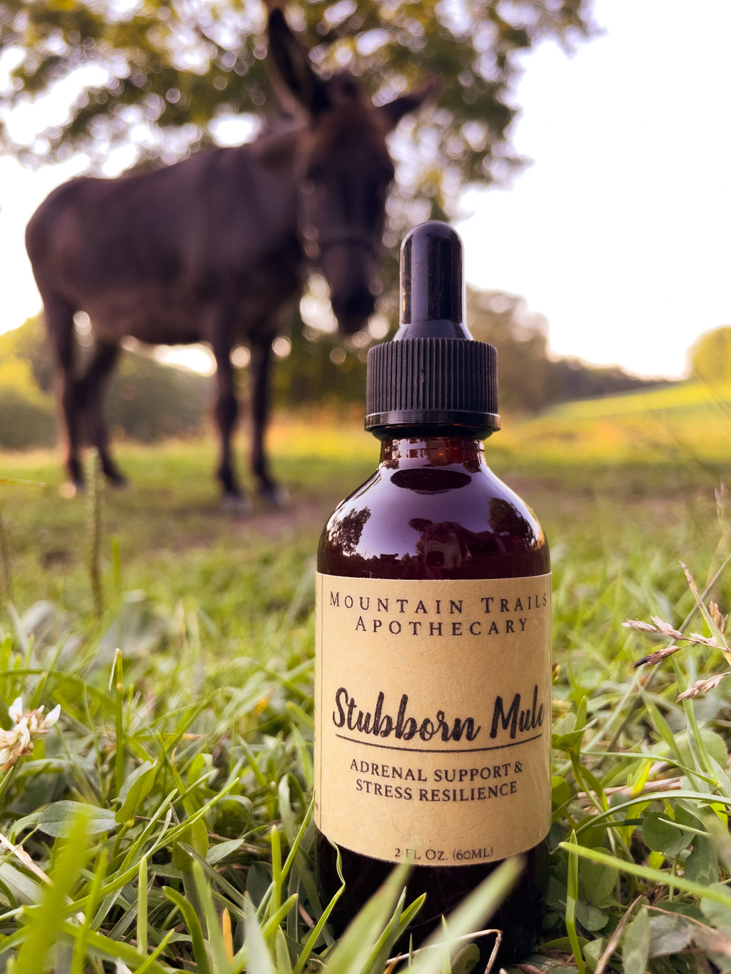 Stubborn Mule (adrenal support & stress resilience) – Mountain Trails Farm