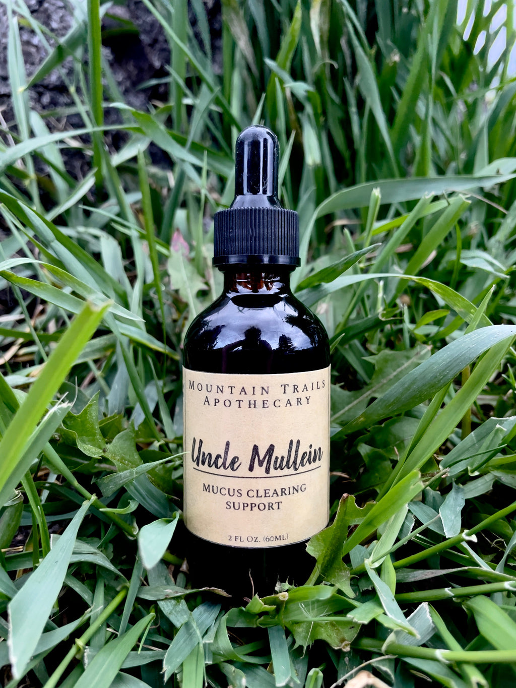 Uncle Mullein (mucus clearing support) – Mountain Trails Farm